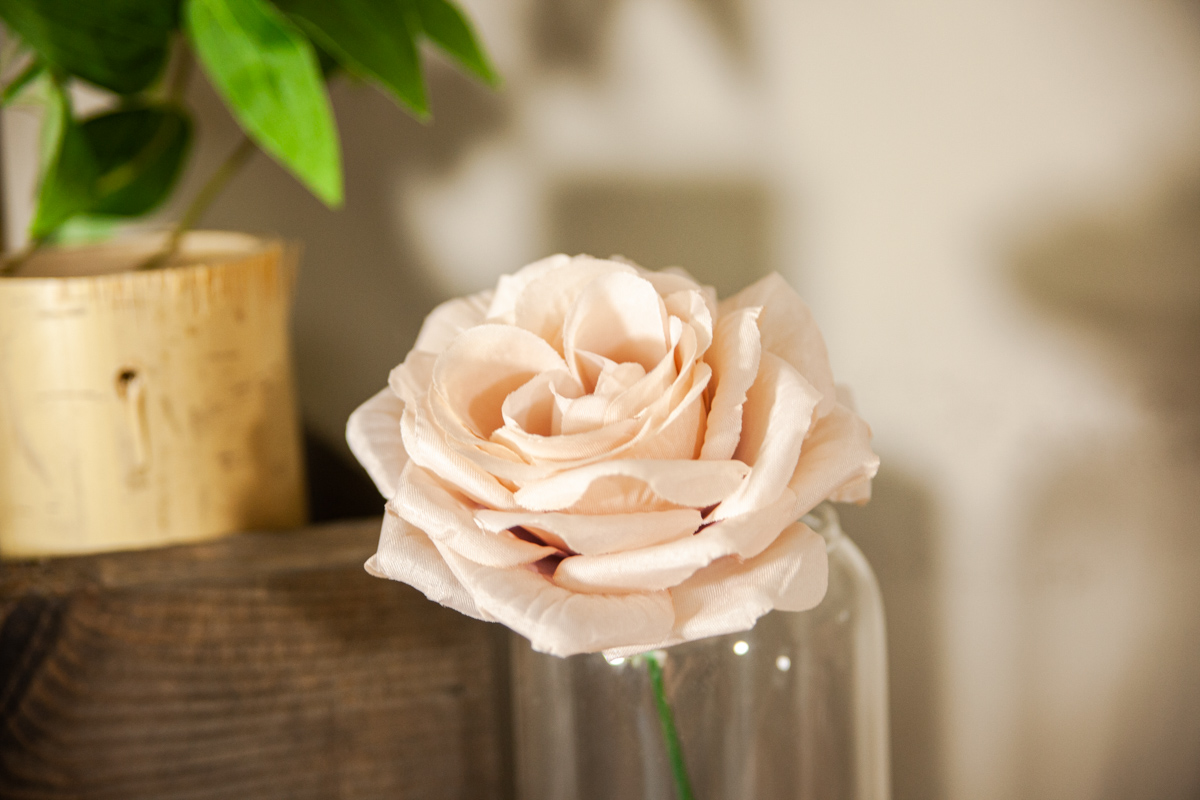 12τεμ Τριαντάφυλλα 15cm Diamond Rose AFR-A15637-VAN